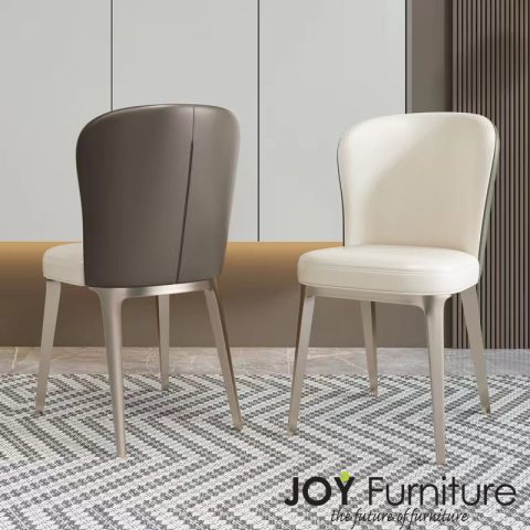 Modern Dining Chair - Joy Furniture