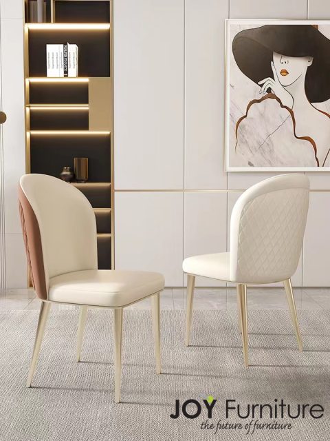 Designer Dining Chair - Joy Furniture